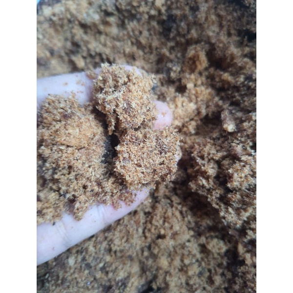 COCO DUST, KUSOT (1kg) | Shopee Philippines