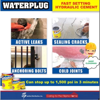 Thoro Waterplug Fast Setting Cement 1 Liter Water Plug | Shopee Philippines