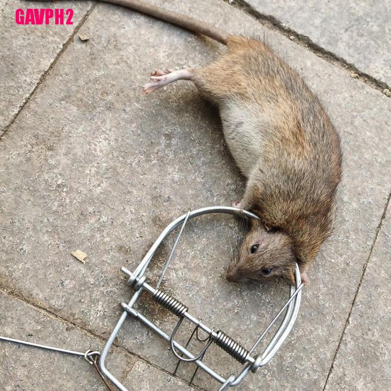 [GAVPH]mouse trap weasel catch catch spring Trapt Rodent Cage Mole ...