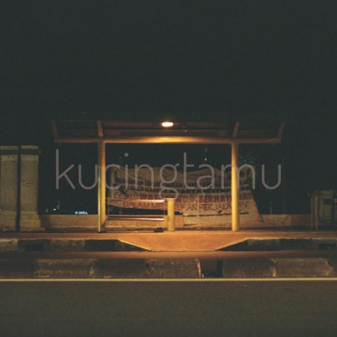 Analog Film - Frog Gold 200-35mm Color Film Roll | Shopee Philippines