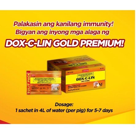DOX-C-LIN / DOXCLIN 5g/24 sachets 1 box by Bmeg | Shopee Philippines