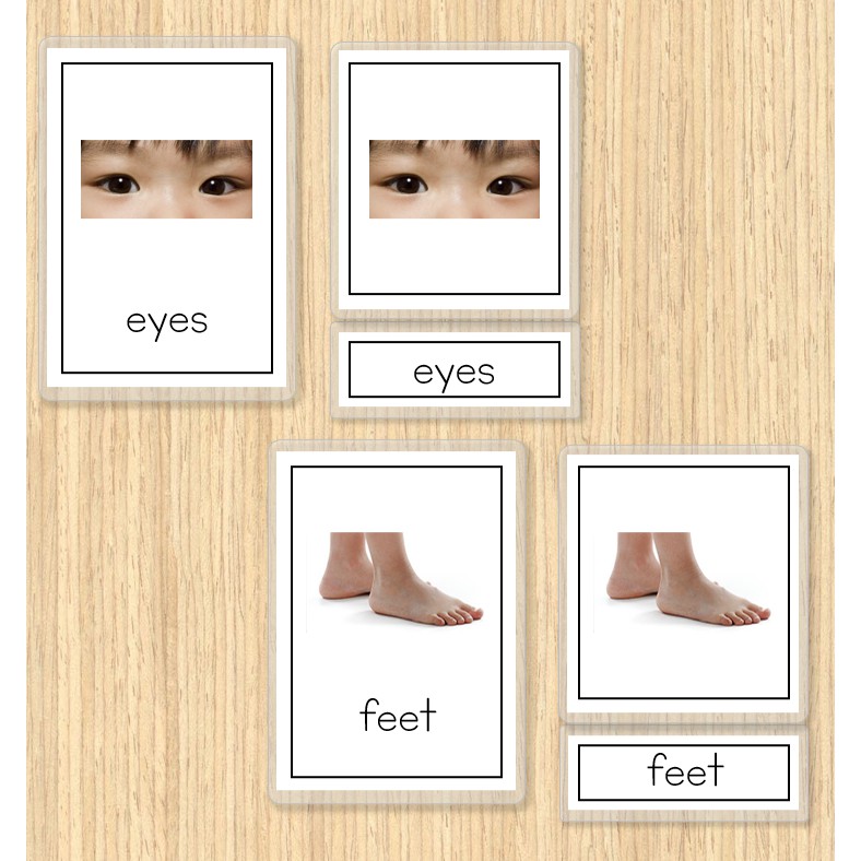 PARTS of the BODY - Montessori Three-Part Cards / Nomenclature Cards ...