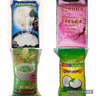 Shop rice jasmine 25kg for Sale on Shopee Philippines