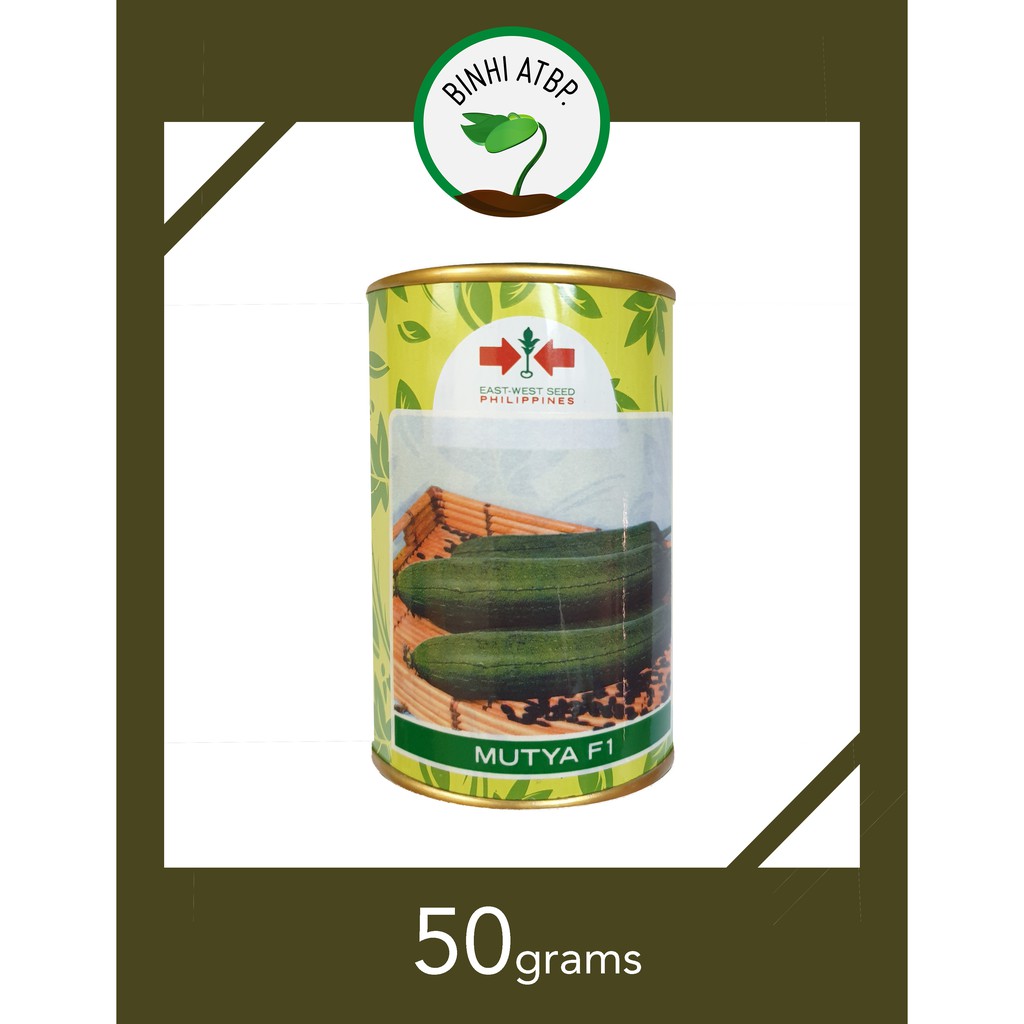 East-west Mutya F1 Patola (Sponge Gourd) Seeds (50 Gr Can) | Shopee ...