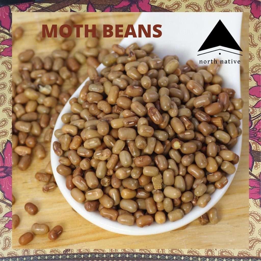 Organic Moth Beans / Turkish Gram / Matki - Whole Dried, Sproutable 1kg ...