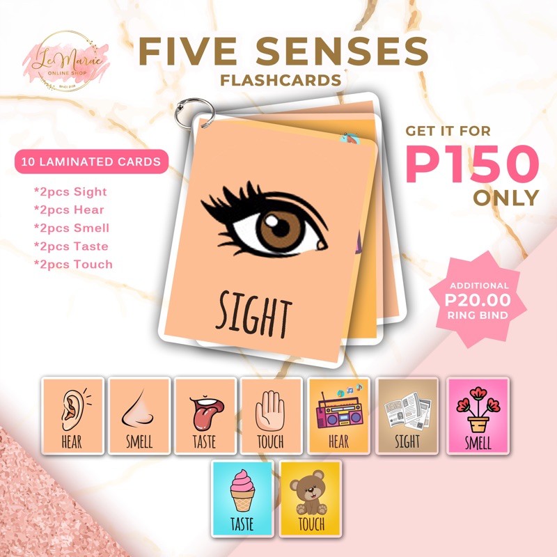 FIVE SENSES - Laminated Flashcards Interactive Educational Toys for ...
