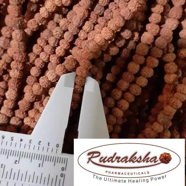 Original Jenitri package of 108 super small 3mm grains | Shopee Philippines