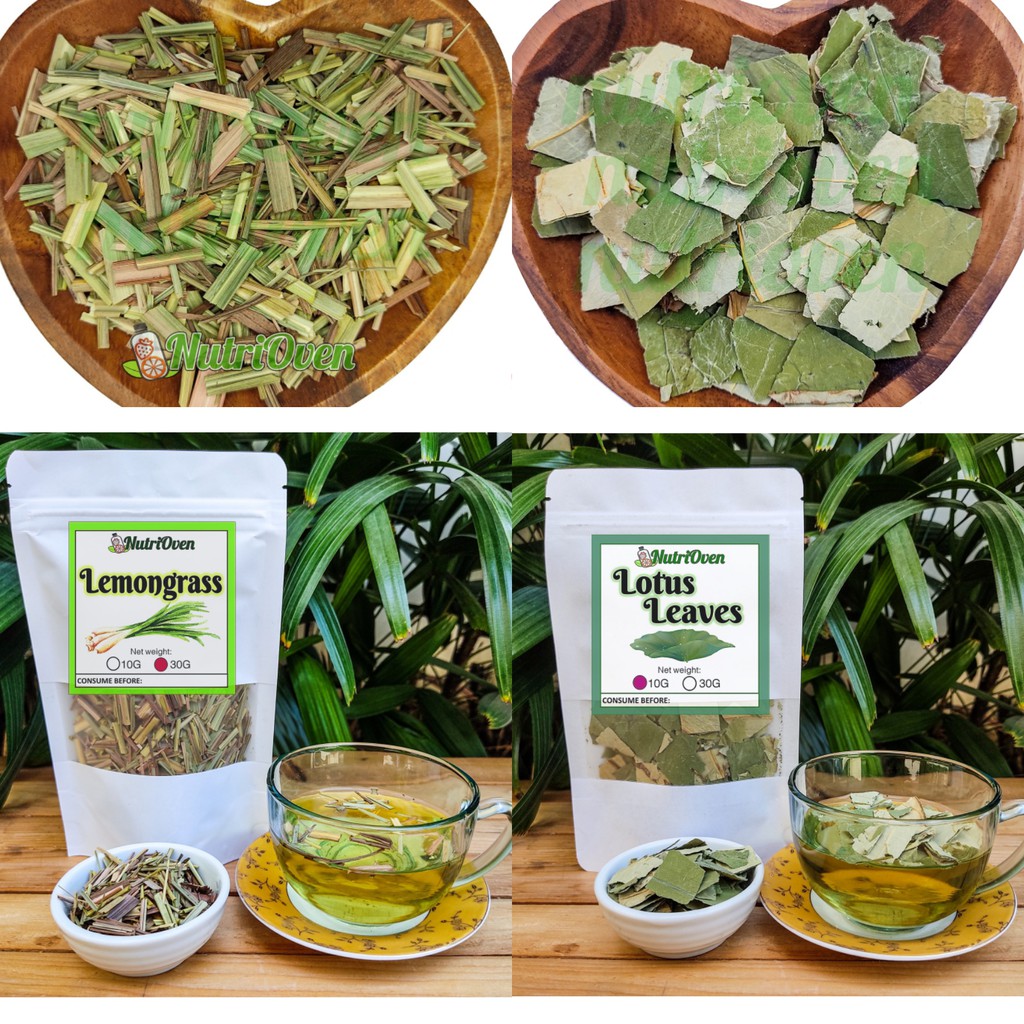 LEMONGRASS LOTUS leaves Tanglad Dried | Shopee Philippines