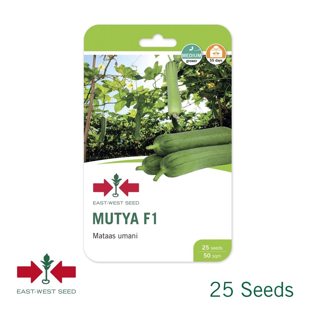 Eastwest Seed [MUTYA F1] Patola/Sponge Gourd Go Grow Pack | Shopee ...