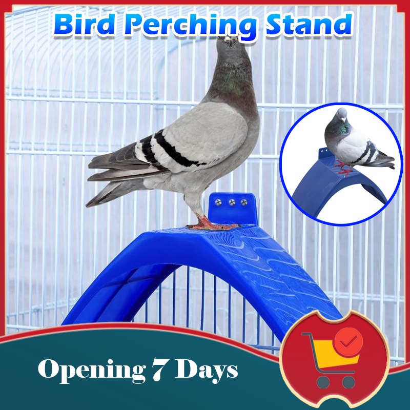 Pigeon V Roost Perches Frame Dove Rest Stand Birds Frame Dwelling Perch ...
