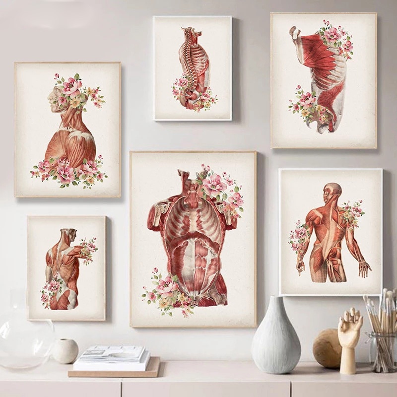 Retro Anatomy Medical Poster Human Body Muscle Structure Wall Art ...