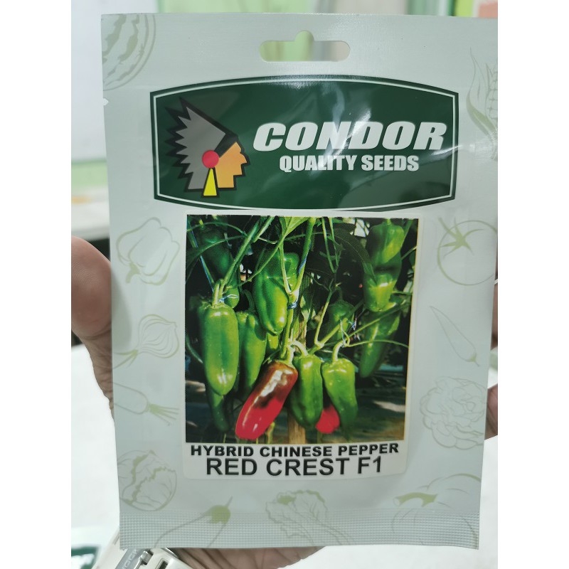 RED CHINESE PEPPER RED CREST VARIETY SEEDS (25 SEEDS) | Shopee Philippines