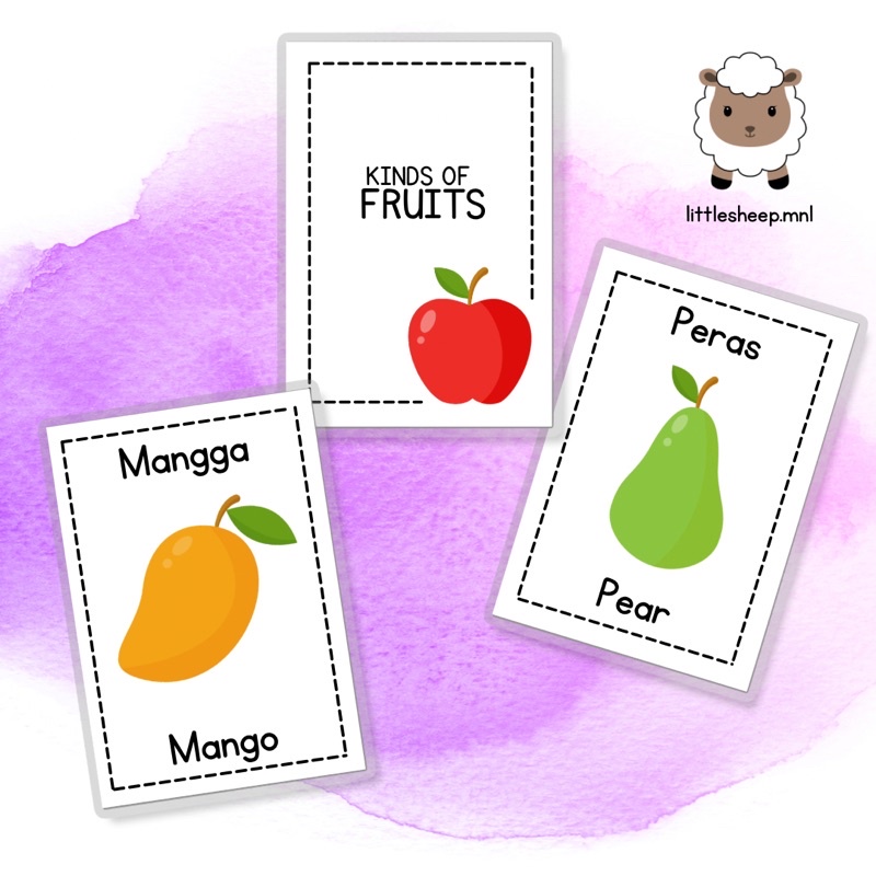 On hand! Laminated FRUITS AND VEGETABLES flash cards in English and ...