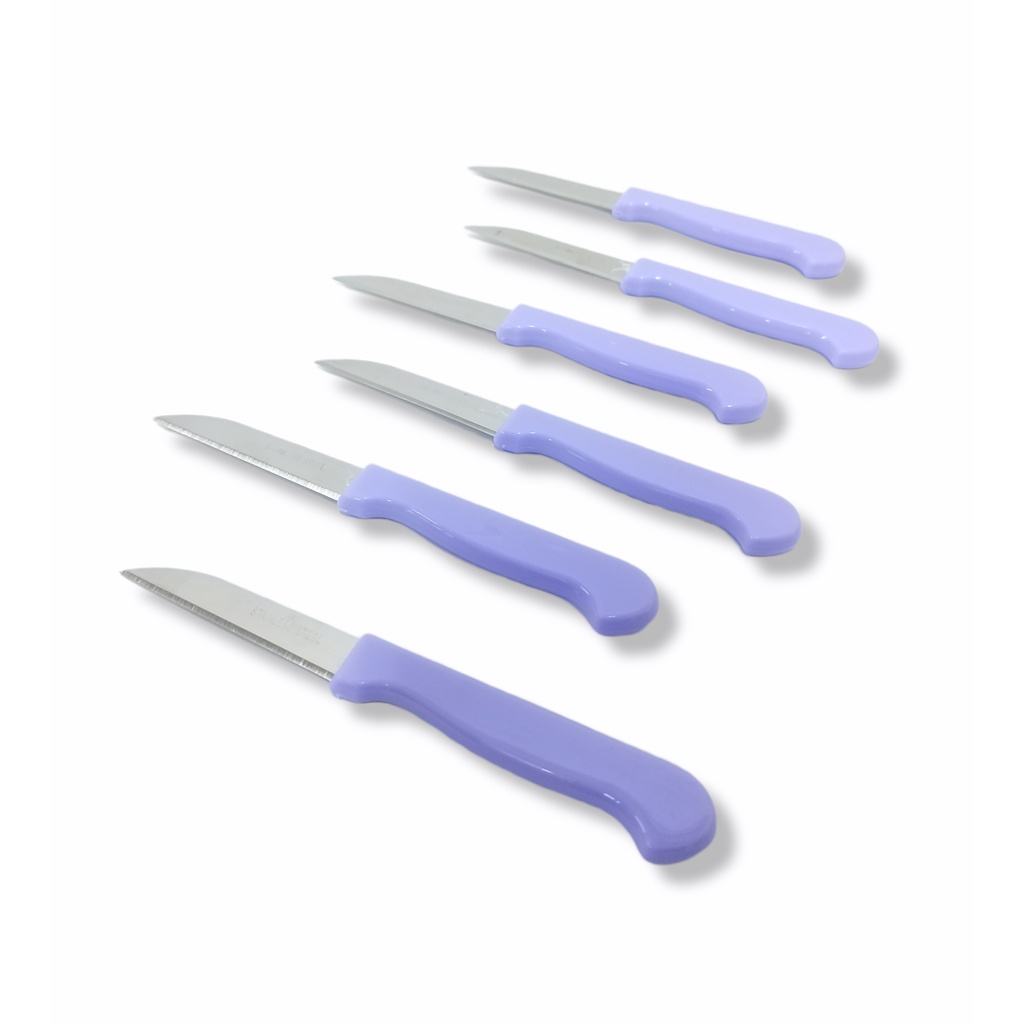 6pcs Set Fruit Knife Cooking Knives Stainless Steel Kutsilyo ( 3617 ...