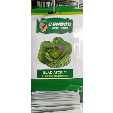GLADIATOR F1 ( condor seed) | Shopee Philippines