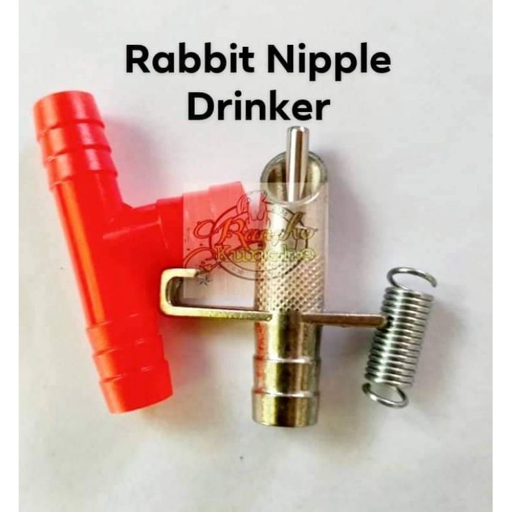 Nipple drinker rabbit - 10sets (spring,nipple,connector) | Shopee ...