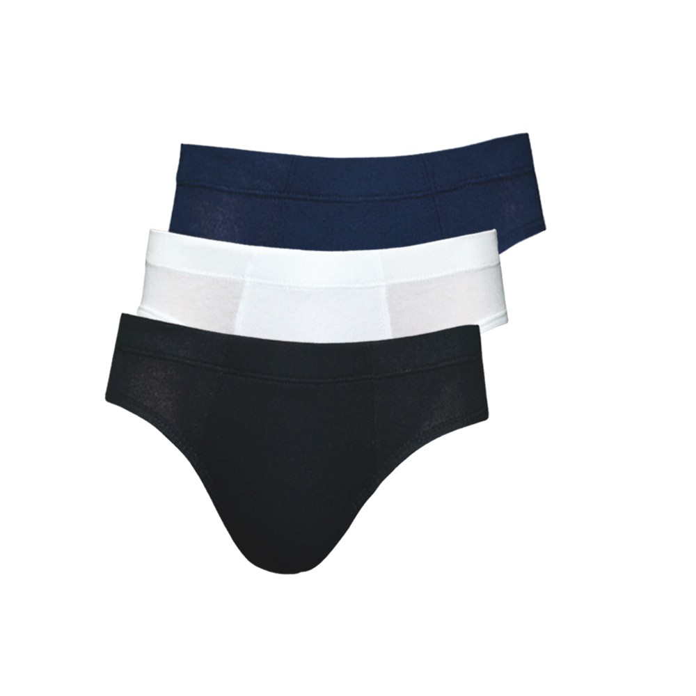 Sunjoy Inside Garter Brief 3 in 1 Pack (Multicolor) | Shopee Philippines