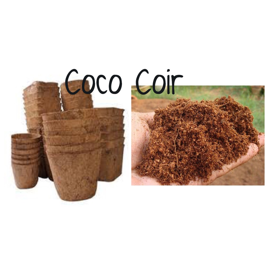 Coco dust peat organic pots coconut coir brick tiles cocopot coco pot ...