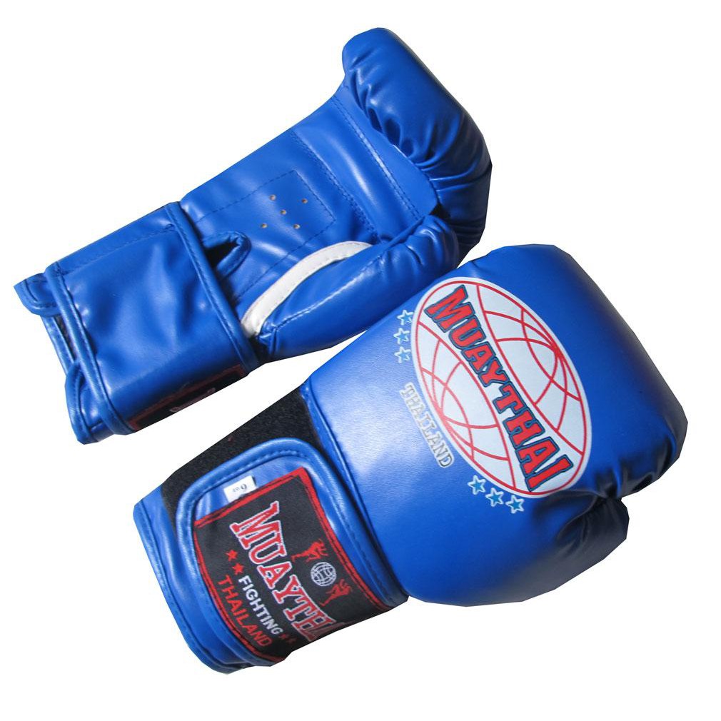 Small Boxing Gloves No.6 (Muay thai) With Drawstring | Shopee Philippines
