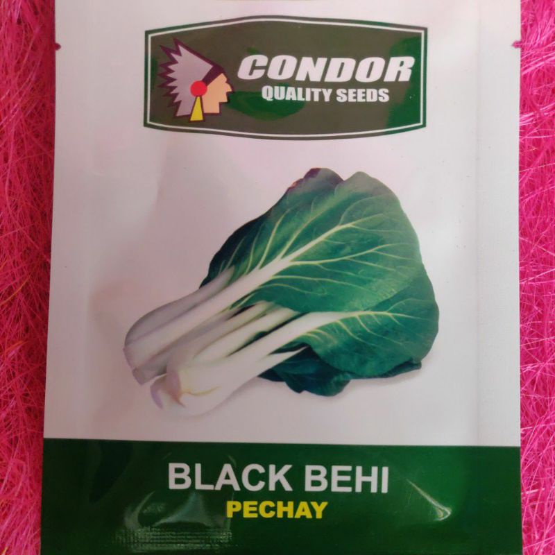 PECHAY SEEDS BLACK BEHI SCHT 8GRMS CONDOR SEEDS | Shopee Philippines