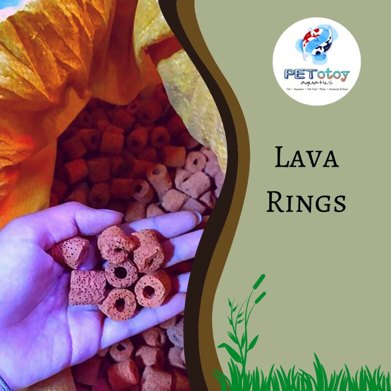 Lava Ring for Sump and Top Filters | Shopee Philippines