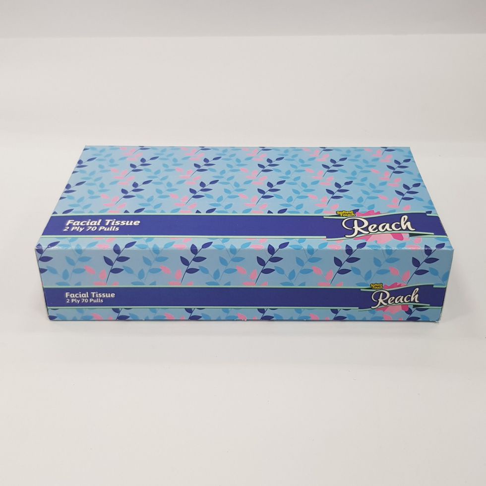 Reach Facial Tissue Box 2Ply 70Pulls 140Sheets | Shopee Philippines