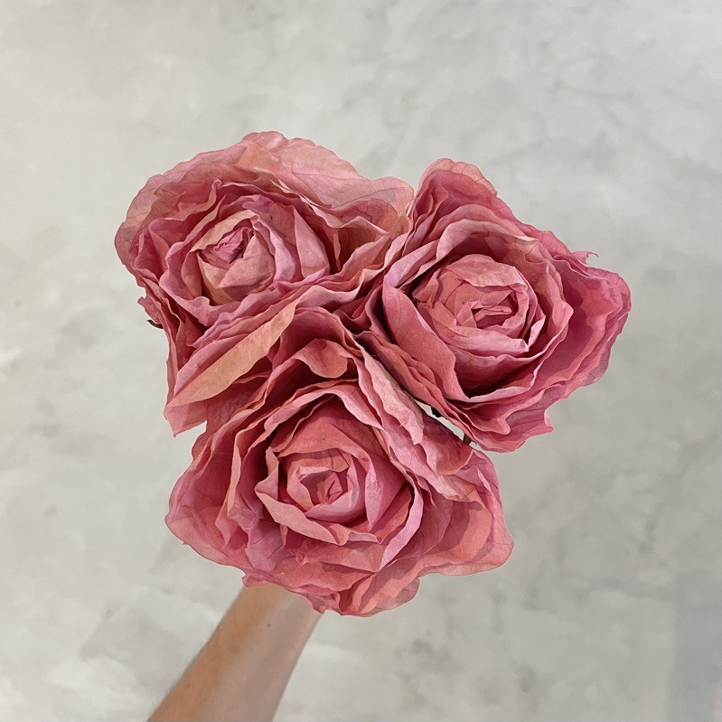 Fossilized/Dried Rose Flower (3 stems) | Shopee Philippines