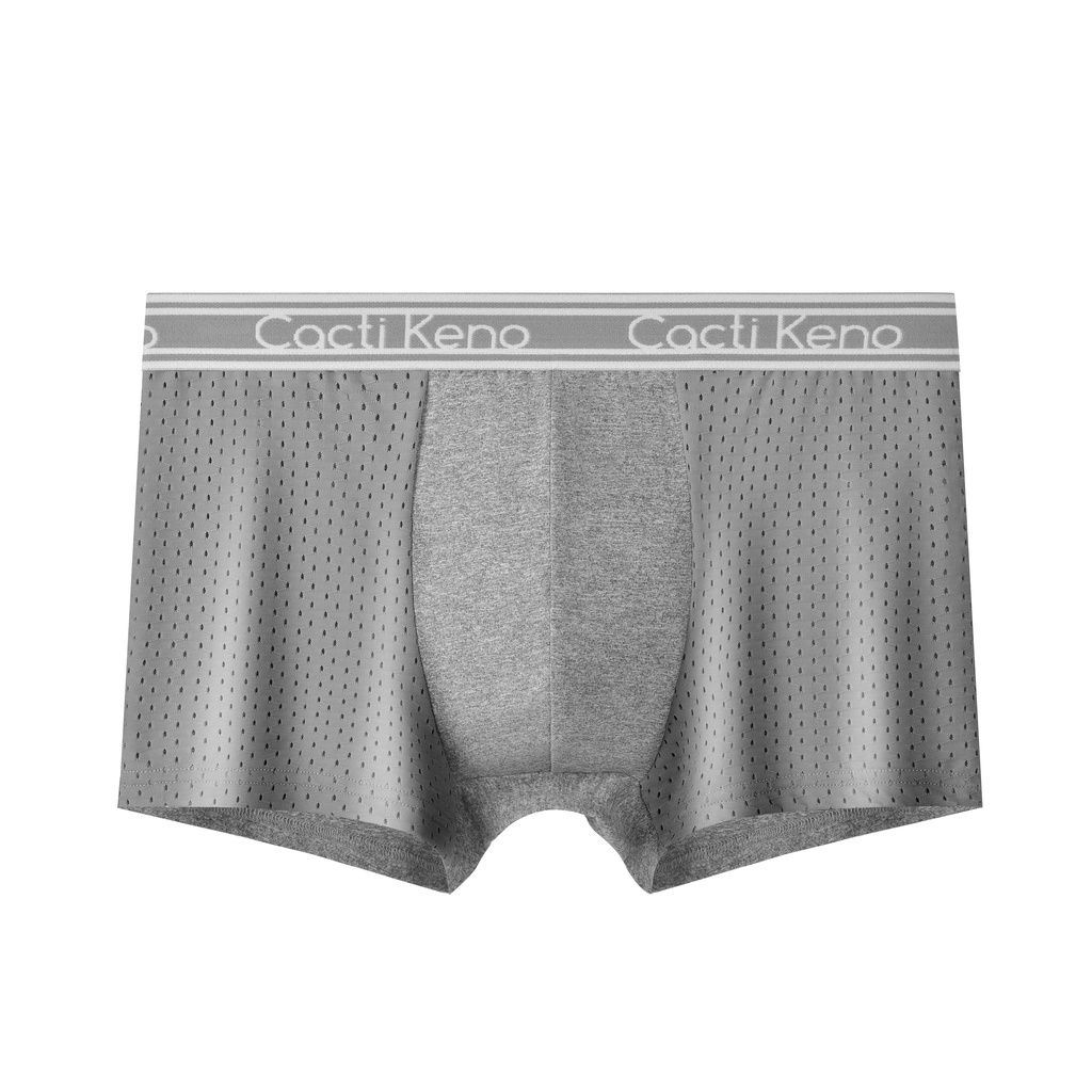 Cacti Keno Men's Plus Size Boxer Brief Breathable Underpants Shorts ...