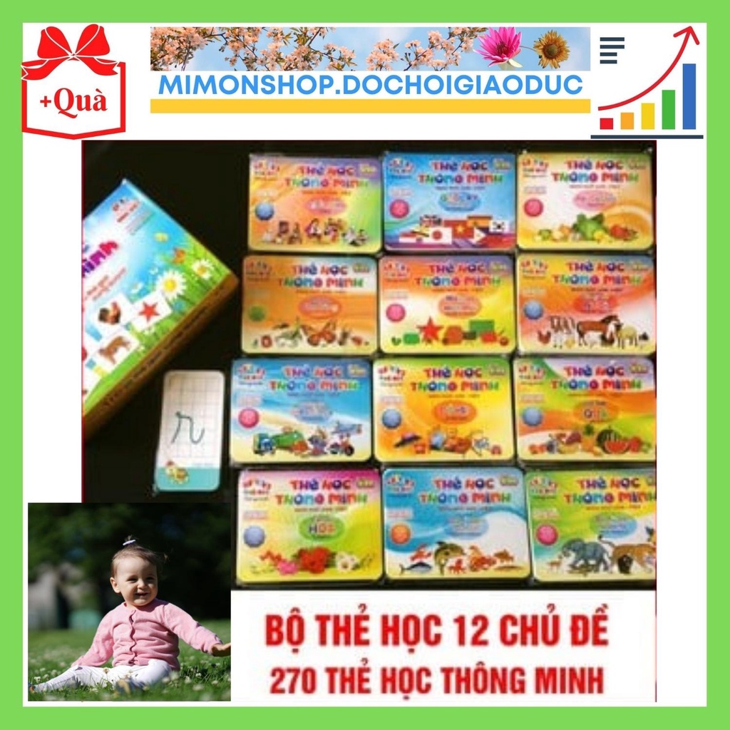 Smart learning cards by topic, large, bilingual Vietnamese - English ...