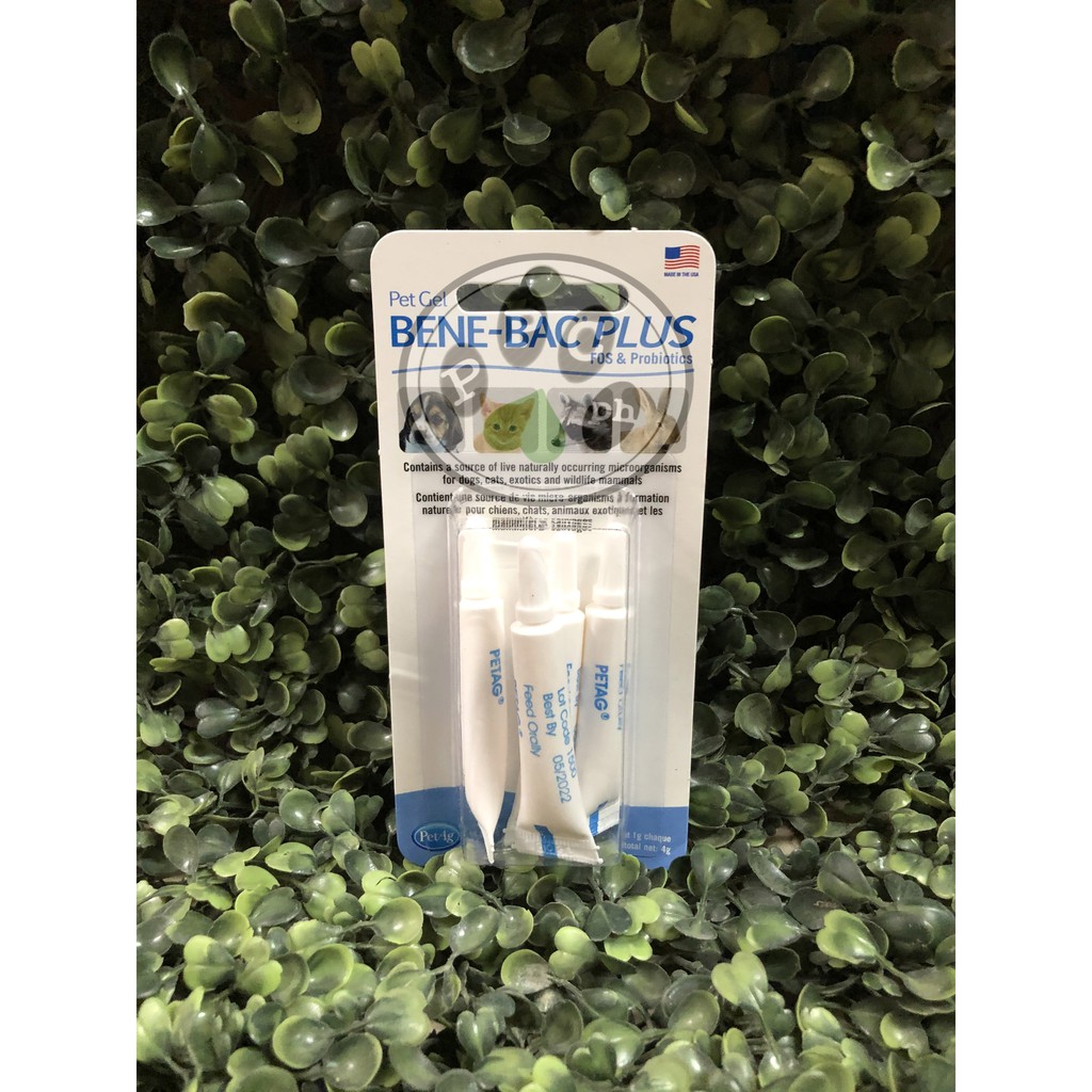 PetAg Bene-Bac Plus Pet Gel FOS Prebiotic and Probiotic, 4 Pk for Small ...