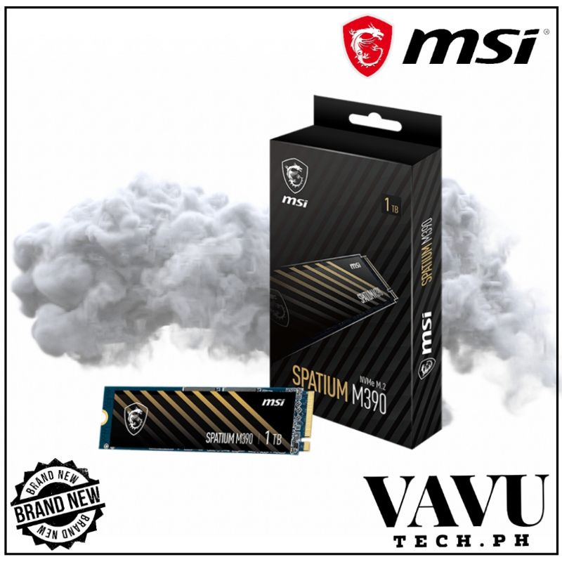 MSI Spatium M390 1TB, 500GB, 250GB M.2 NVME Blazing Speed | Shopee ...