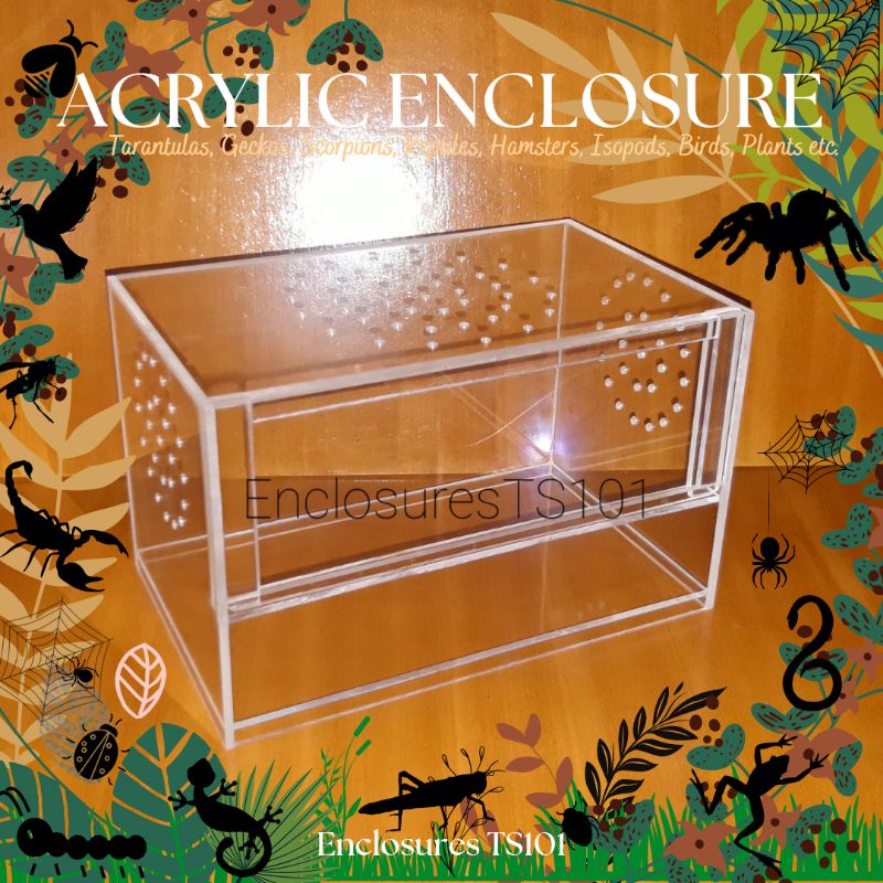 Acrylic Enclosure for Tarantula, Scorpion, Dwarf Hamsters with freebies ...