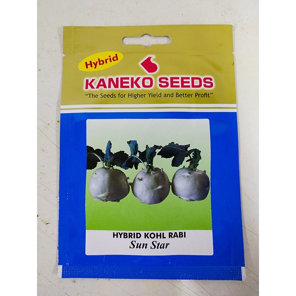 SUN STAR HYBRID KOHL RABI SEEDS BY KANEKO (2 GRAMS) | Shopee Philippines