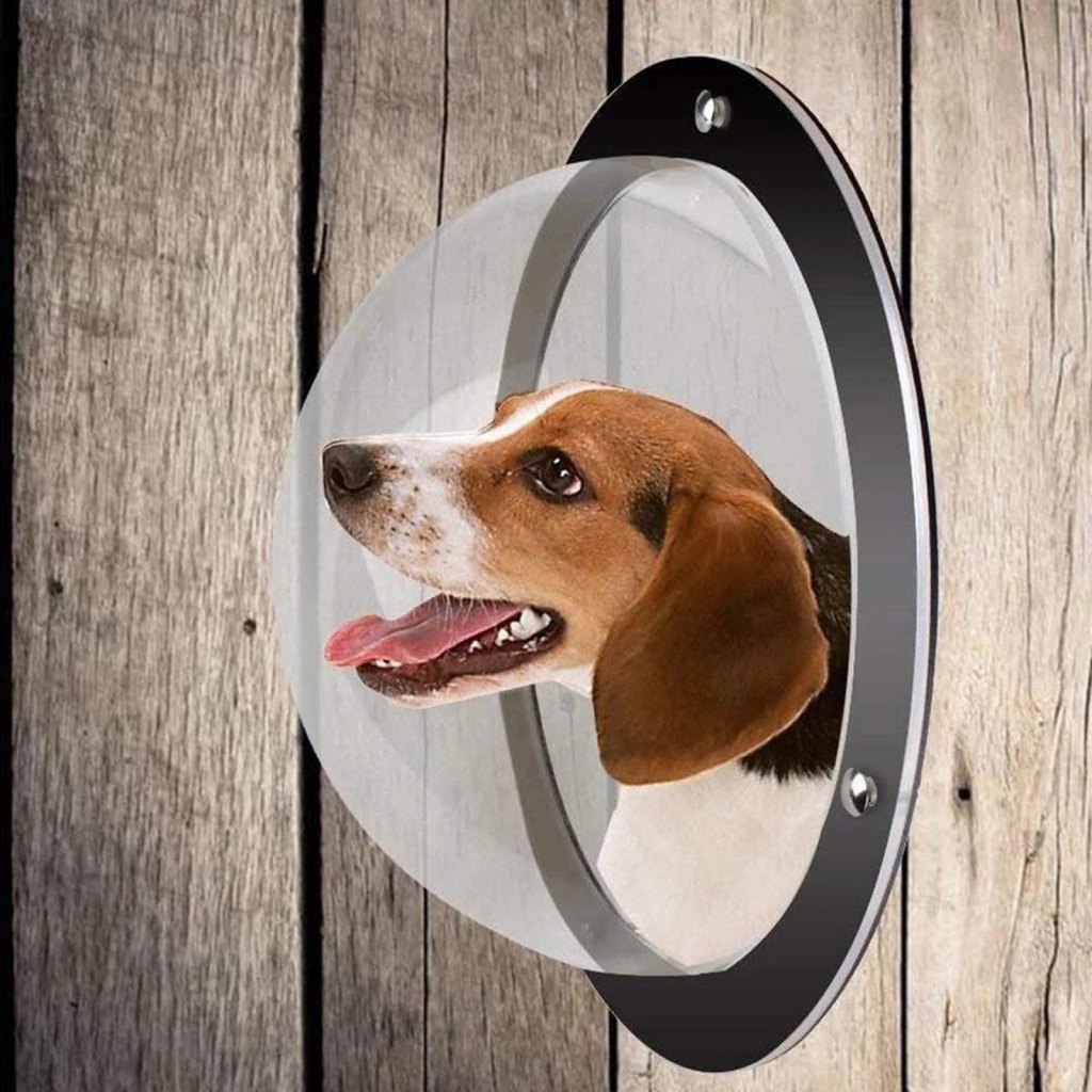 Transparent Enclosure Window Fences For Cats And Dogs Pet Windows ...