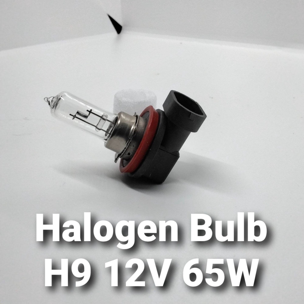 Halogen Bulb H9 12V 65W (1PCS/BOX) | Shopee Philippines