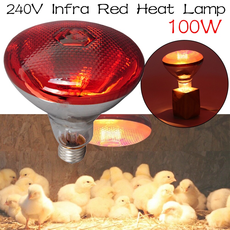 HOT Preservation Heat Lamp Thermal Lamp Red Infrared Short Wave Farm ...