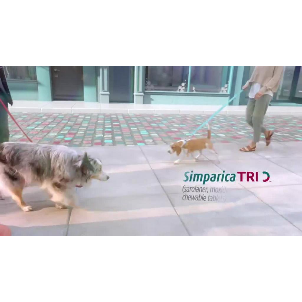 Simparica TRIO Anti Tick & Flea Heartworm Chewable for Dog w Sticker ...