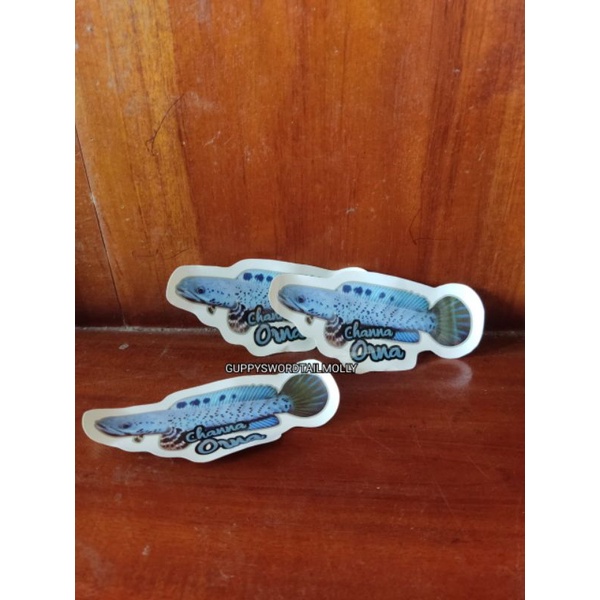 Channa Snakehead Orna Aquarium Sticker | Shopee Philippines