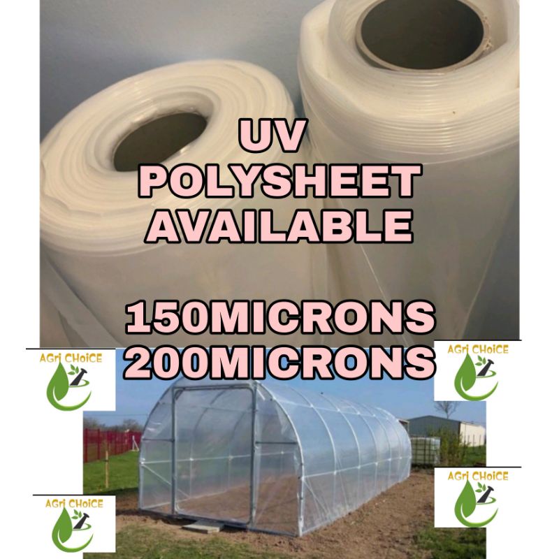 UV POLYSHEET (150 MICRONS& 200 MICRONS) Per meter | Shopee Philippines