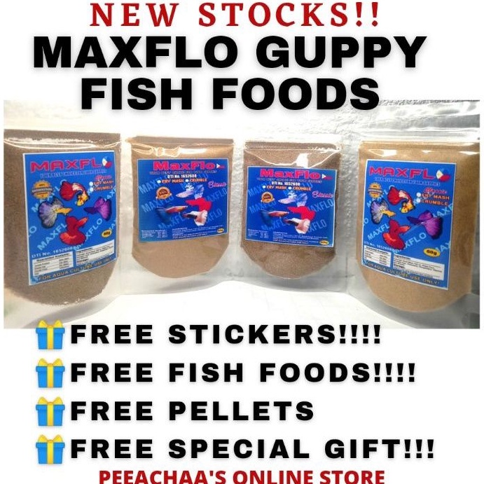 Maxflo guppy fish food feeds crumble and fry mash With freebies 10 ...