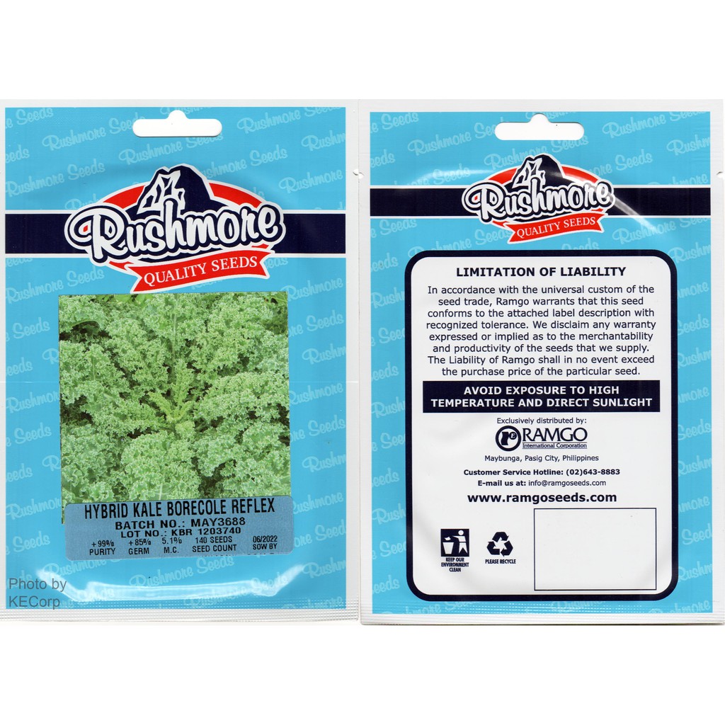 Rushmore Seeds Hybrid Kale Borecole Reflex, Redbor (Original Pack ...