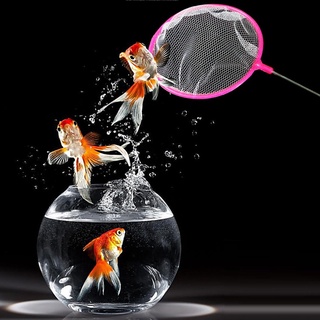 Fish net and Shrimp Net Aquarium Colorful Round Fish Net For Daphnia ...