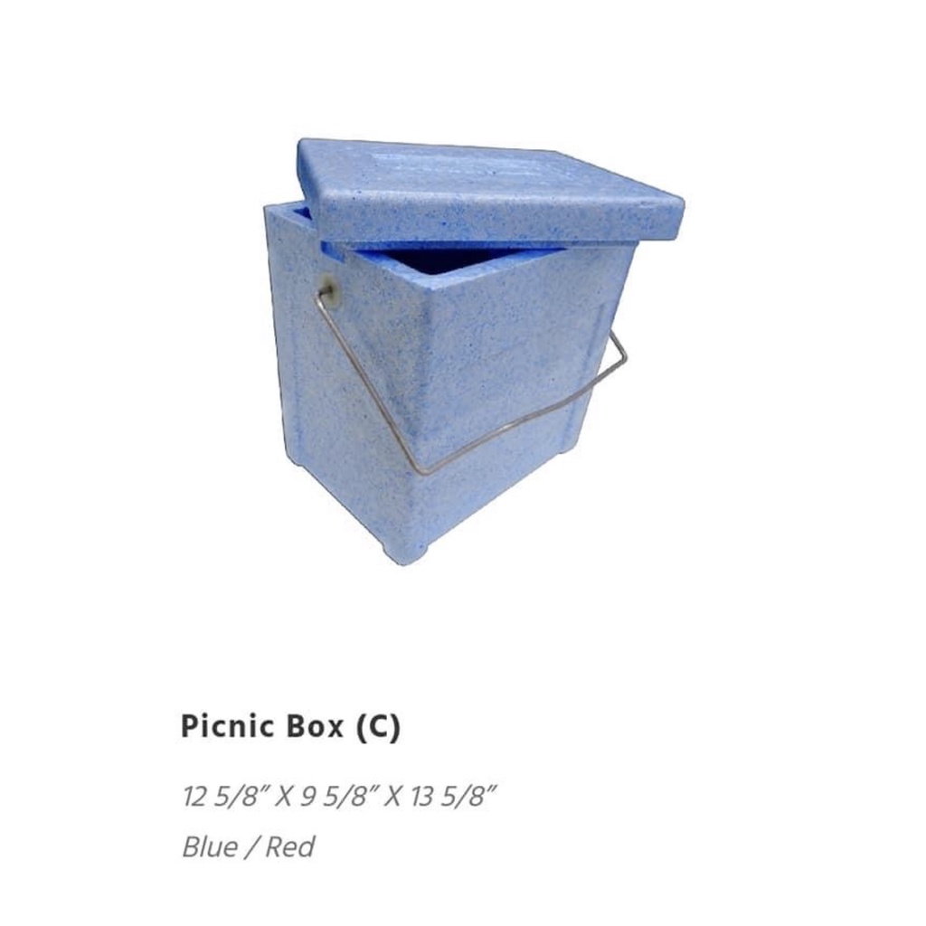 STYRO BOX / PICNIC BOX C / PORTABLE STYRO BOX | Shopee Philippines