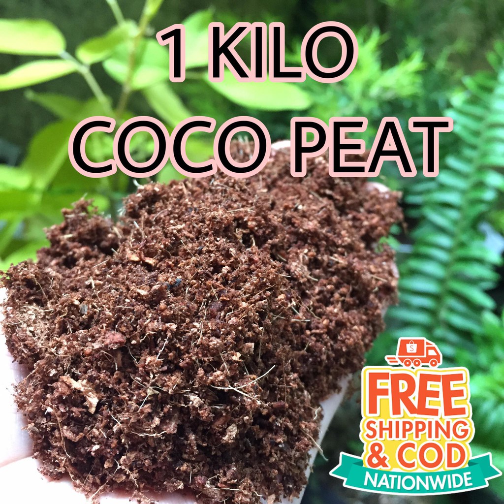1 Kilo High Quality Coco Peat/Dust/Coir for Gardening and Plants (1Kilo ...