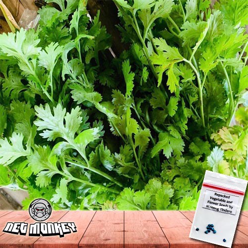 Wansoy Coriander Cilantro Herb (15 Seeds ) | Shopee Philippines