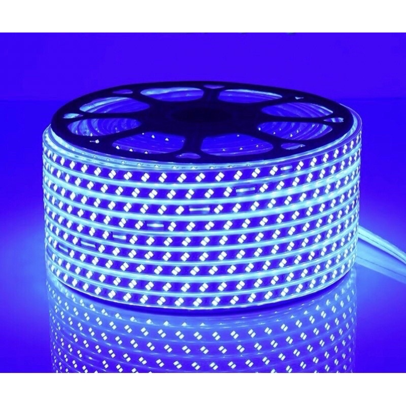 【COD & Ready】 220V 5730 120leds striplight light white,coolwhite ,warm ...