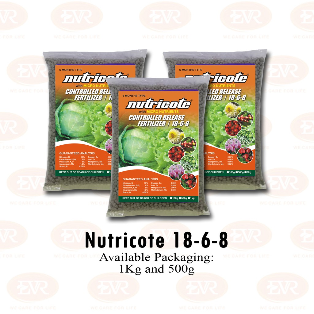 NUTRICOTE 18-6-8 Controlled Release (6 Months Longevity) | Shopee ...