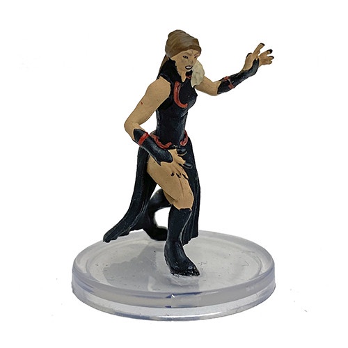 Dungeon and Dragons - D&D Miniatures : Van Richten's Guide to Ravenloft ...