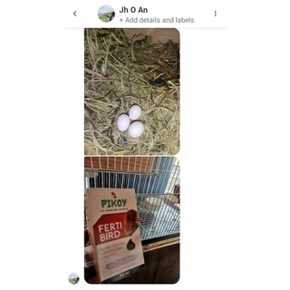 PIKOY FERTI BIRD Liquid Fertility Vitamin Drops with Enriched Vit E for ...