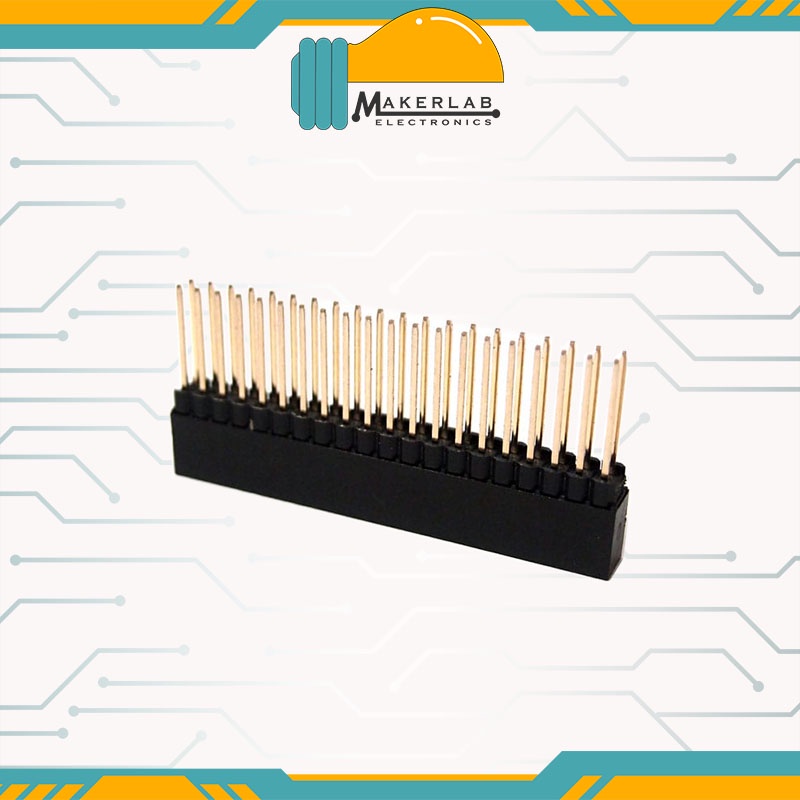 2X20 2.54mm Long Female Header pin | Shopee Philippines